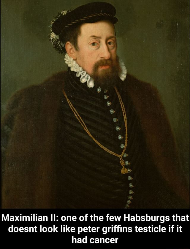 AN % Maximilian II: one of the few Habsburgs that doesnt look like ...