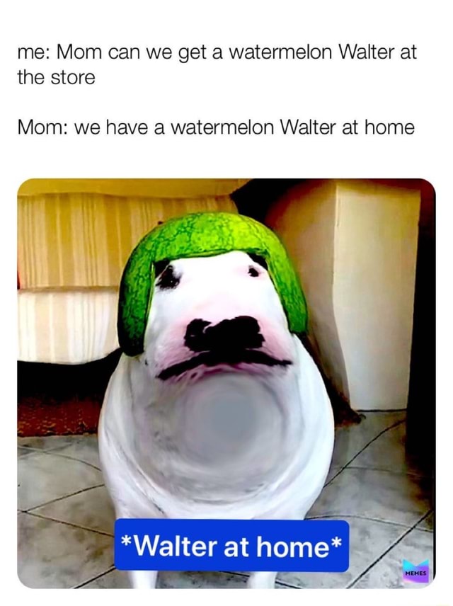 Me: Mom can we get a watermelon Walter at the store Mom: we have a ...