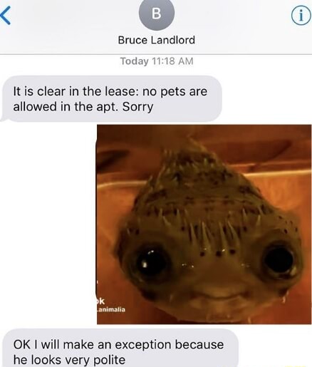 Ww Bruce Landlord Today AM It is clear in the lease: no pets are ...