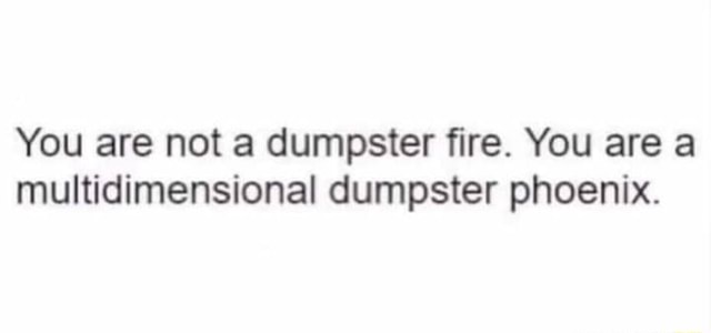 You are not a dumpster fire. You are a multidimensional dumpster ...