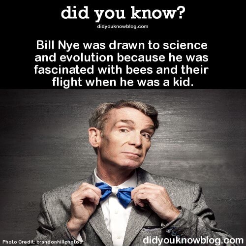 Did you know? Bill Nye was drawn to science and evolution because he ...