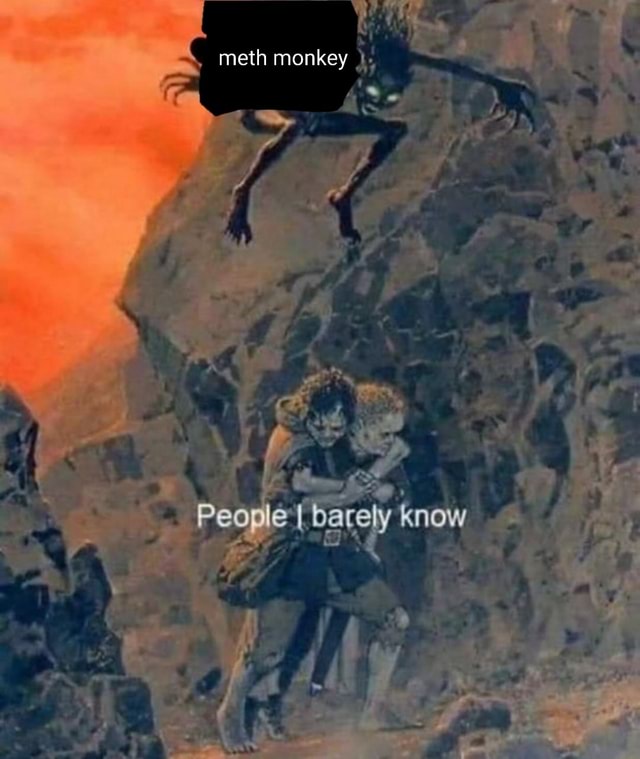 Meth monkey People (barely know - iFunny