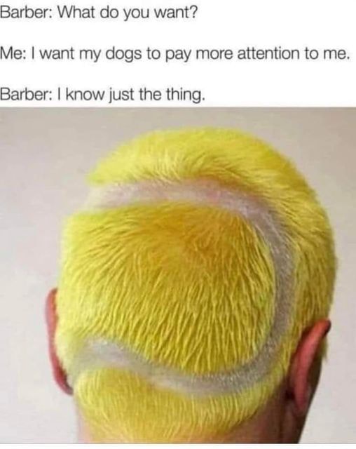 🤣🤣🤣 Happy Saturday! - Barber: What do you want? Me: I want my dogs to ...