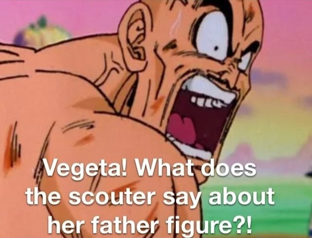 Vegeta! What does the scouter say about her father figure?! - iFunny