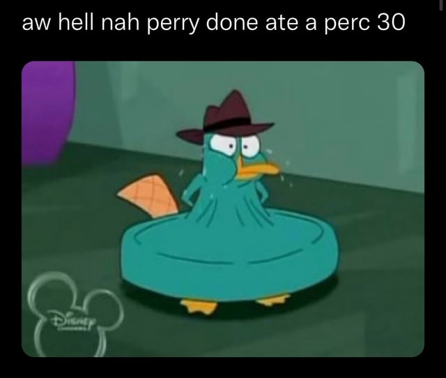 Aw hell nah perry done ate a perc 30 - iFunny