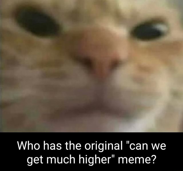 Who has the original "can we get much higher" meme? - iFunny