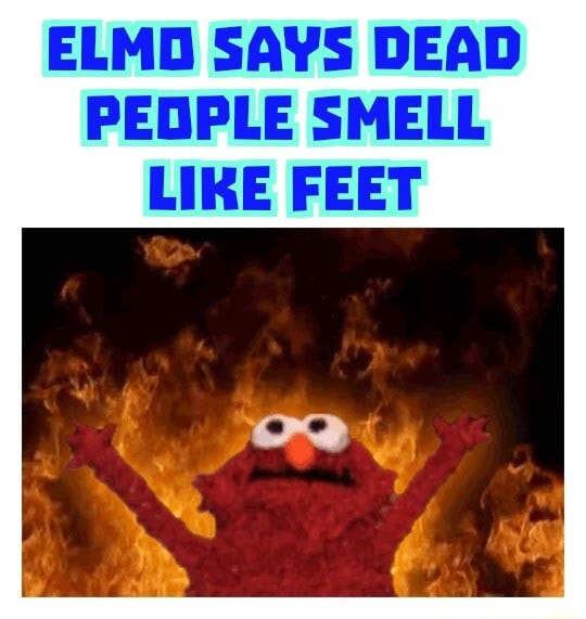 ELMO SAYS DEAD PEOPLE SMELL LIKE FEET - iFunny