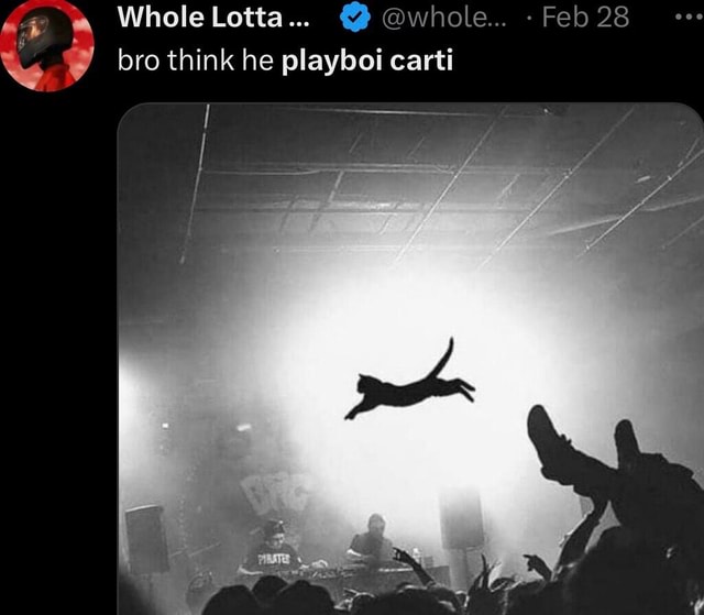 Whole Lotta... @whole... bro think he playboi carti Feb 28 - iFunny