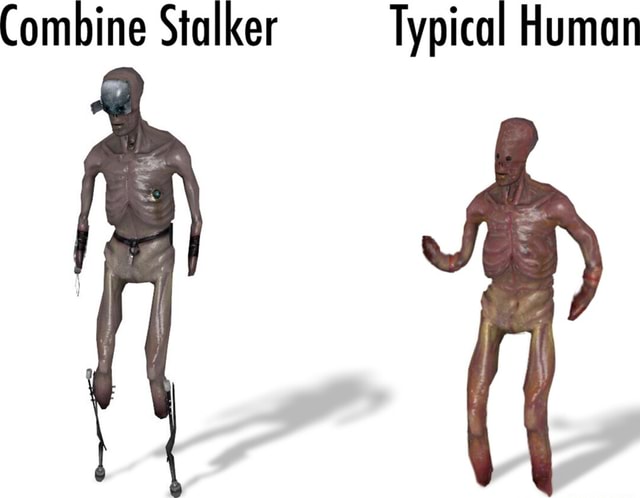 Combine Stalker Typical Human - iFunny