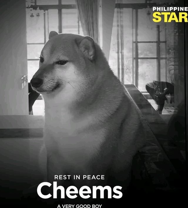 REST IN PEACE Cheems AVERY GOOD BOY PHILIPPINE - iFunny