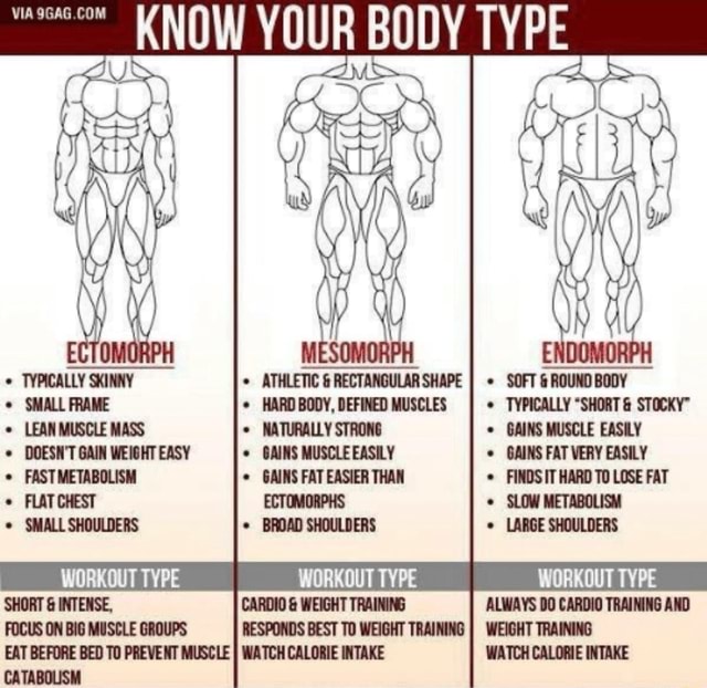KNOW YOUR BODY TYPE ANGULAR SHAPE SOFT & ROUND BODY HARD BODY, DEFINED ...
