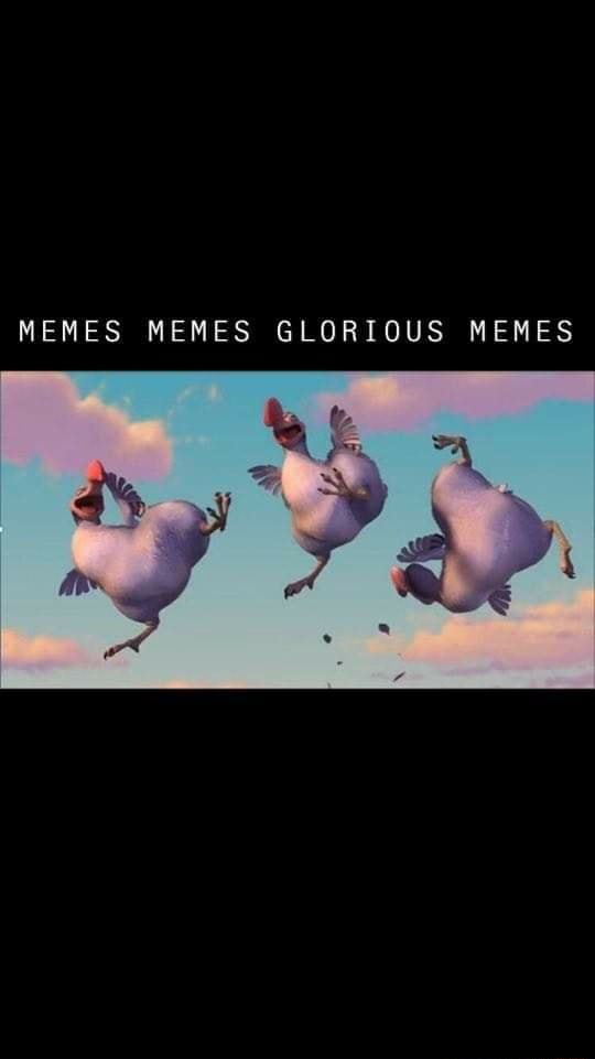 MEMES MEMES GLORIOUS MEMES - iFunny