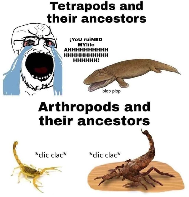 Tetrapods and _ their ancestors I AH HHHHHH! blop pl p plop It ...