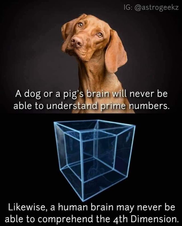 Limitation of human brain. But we can visualise what a 4D object may ...