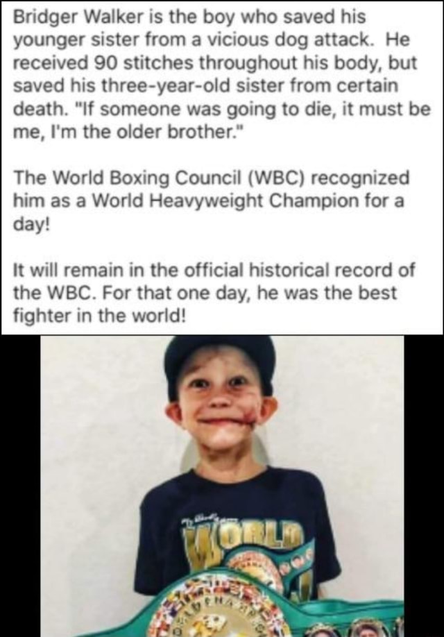 Bridger Walker is the boy who saved his younger sister from a vicious ...