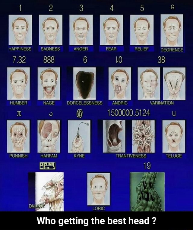 3 4 5 HAPPINESS SADNESS ANGER FEAR RELIEF DEGRENCE 7.32 888 HUMBER NAGE ...