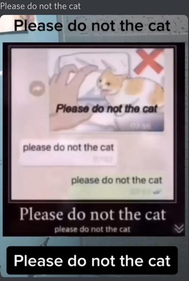 Please do not the cat _Please do not the cat ET? Please do not the cat ...