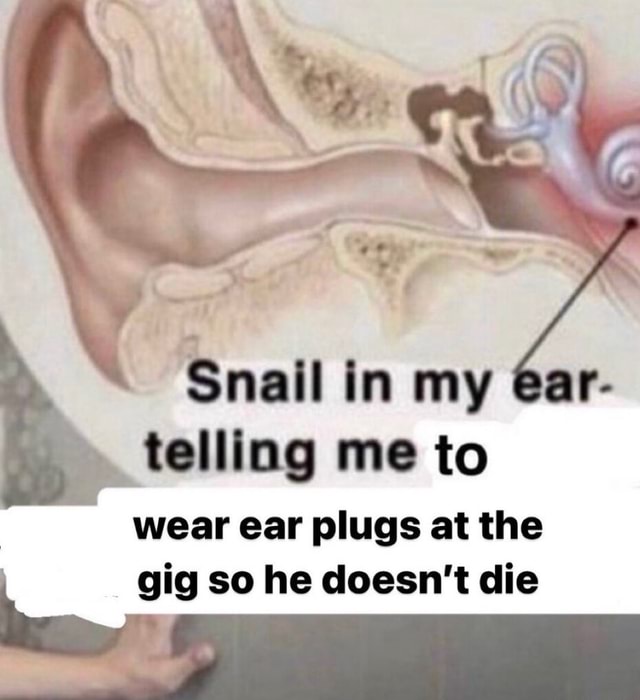 Snail in my ear- telling me to wear ear plugs at the gig so he doesn't ...