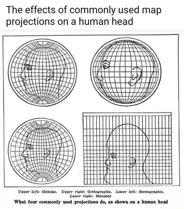 The effects of commonly used map projections on a human head BESS SS T ...