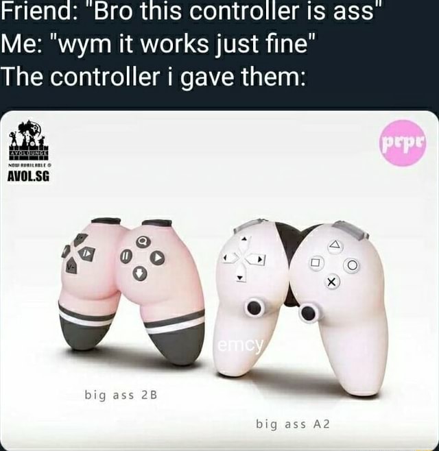 Friend Bro This Controller Is Ass Me Wym It Works Just Fine The Controller I Gave Them