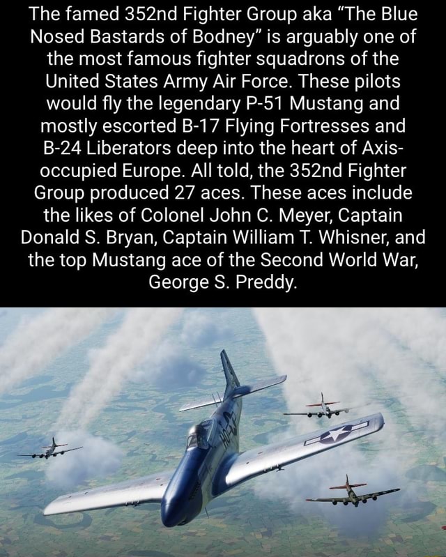 The famed 352nd Fighter Group aka "The Blue Nosed Bastards of Bodney ...