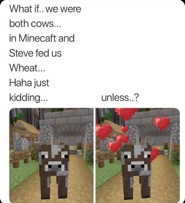 What if.. we were both cows... in Minecaft and Steve fed us Wheat ...