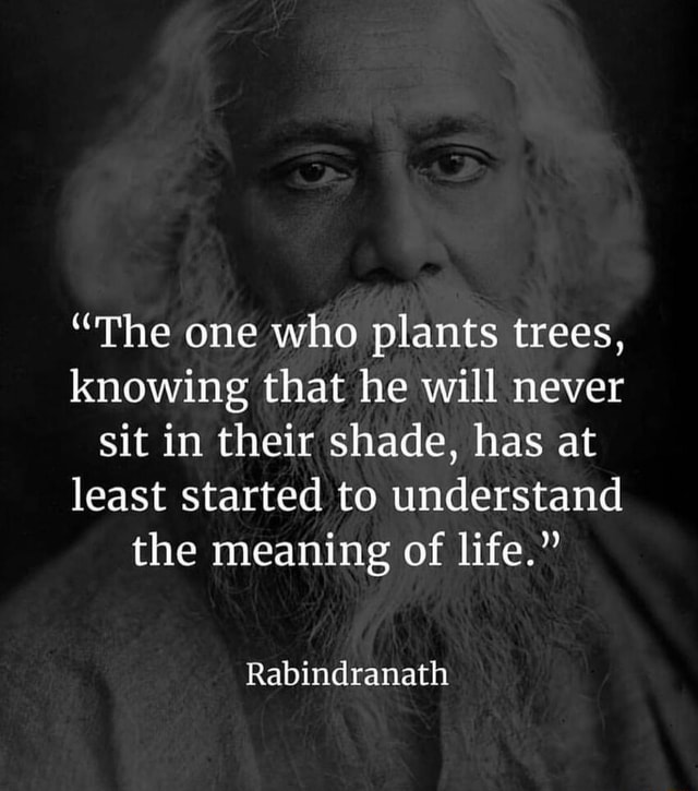 "The one who plants trees, knowing that he will never sit in their ...