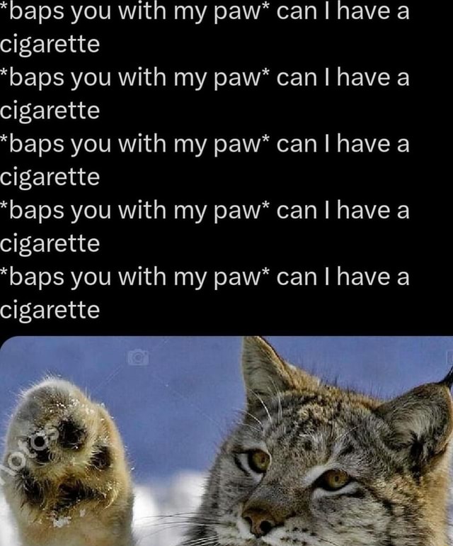 "paps you with my paw* can I have a cigarette 'baps you with my paw ...
