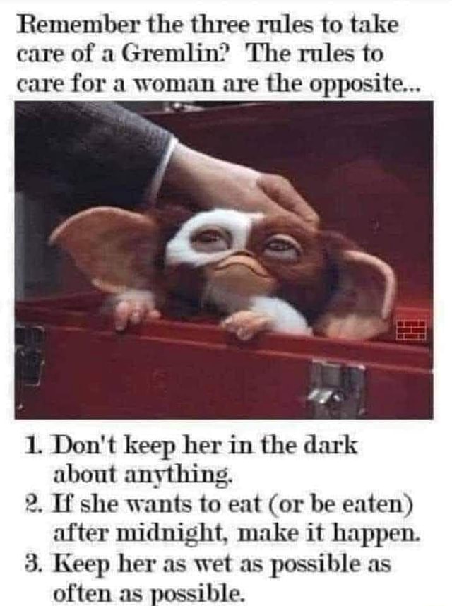 Remember the three rules to take care of a Gremlin? The rules to care ...
