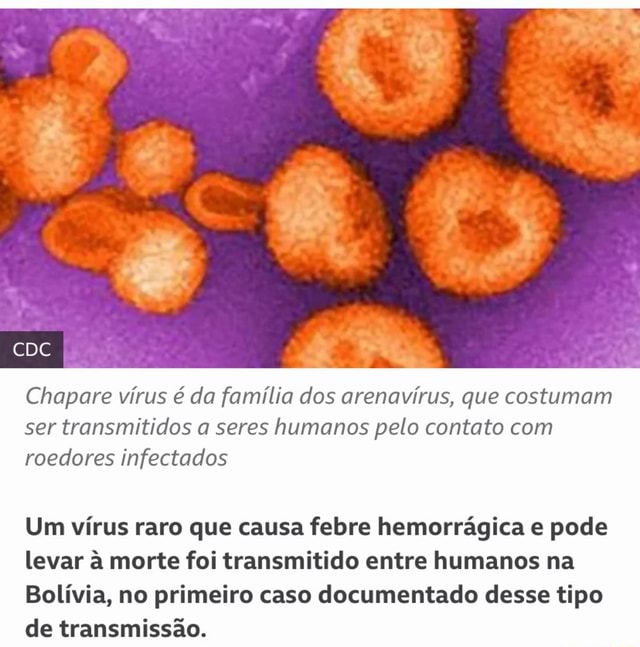 CDC de Chapare vírus é da família dos arenavírus, que costumam ser ...