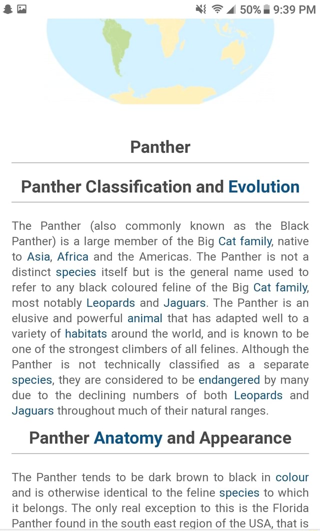 Panther Panther Classification and Evolution The Panther (also commonly ...