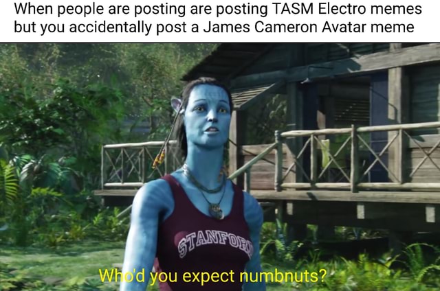 When people are posting are posting TASM Electro memes but you ...
