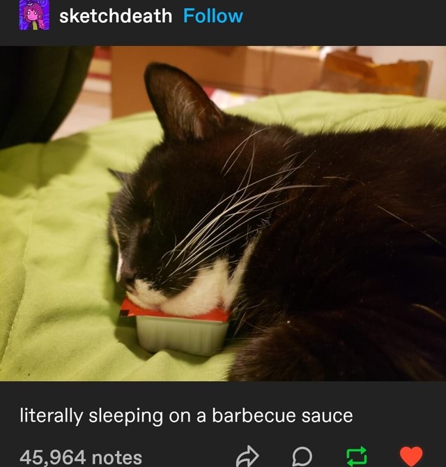 Ie sketchdeath Follow literally sleeping on a barbecue sauce AS, 964 ...