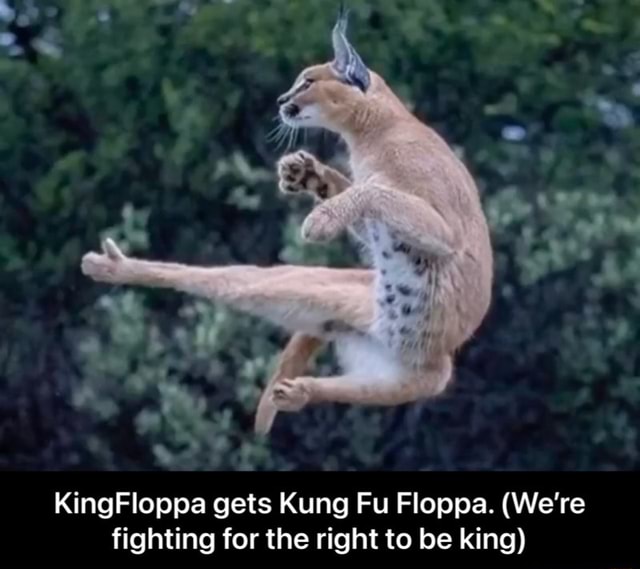 SS \ KingFloppa gets Kung Fu Floppa. (We're fighting for the right to ...