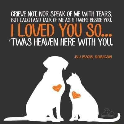 GRIEVE NOT, NOR SPEAK OF ME WITH TEARS, BUT LAUGH AND TALK OF ME AS IF ...