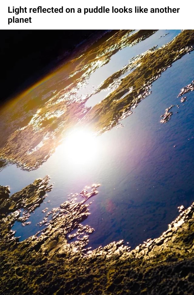 Light reflected on a puddle looks like another planet te - iFunny