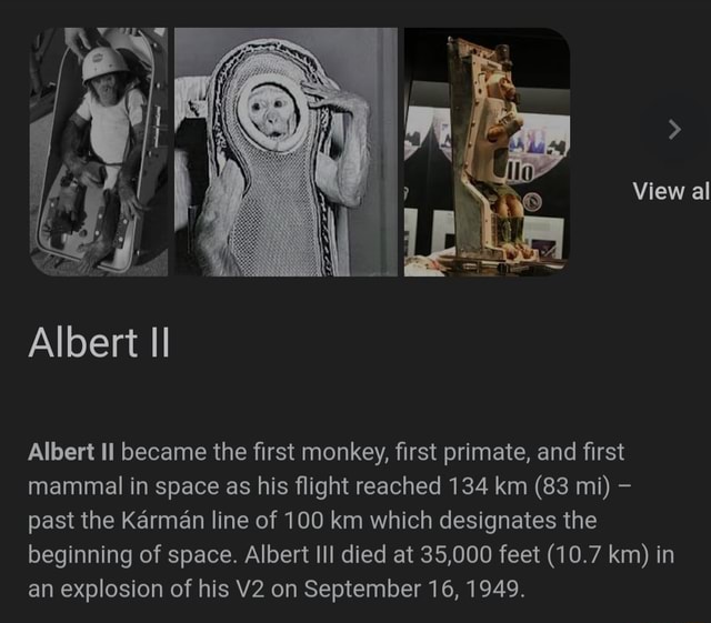 View al Albert II Albert II became the first monkey, first primate, and first mammal in space as ...