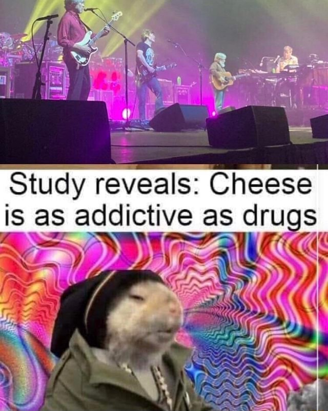 Study reveals: Cheese is aS addictive as drugs \ - - iFunny