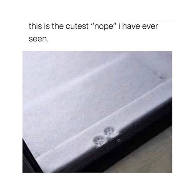 This is the cutest "nope" have ever seen. - WHLSM