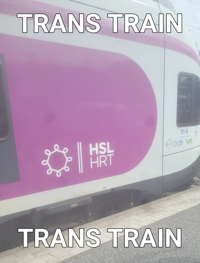 Hrt - TRANS TRAIN TRANS TRAIN - iFunny