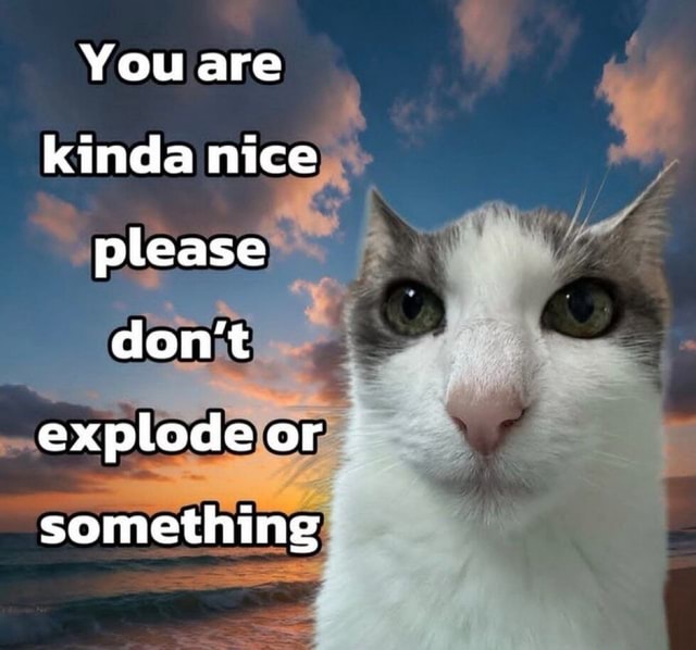 You are kinda nice please don't explode or something - iFunny