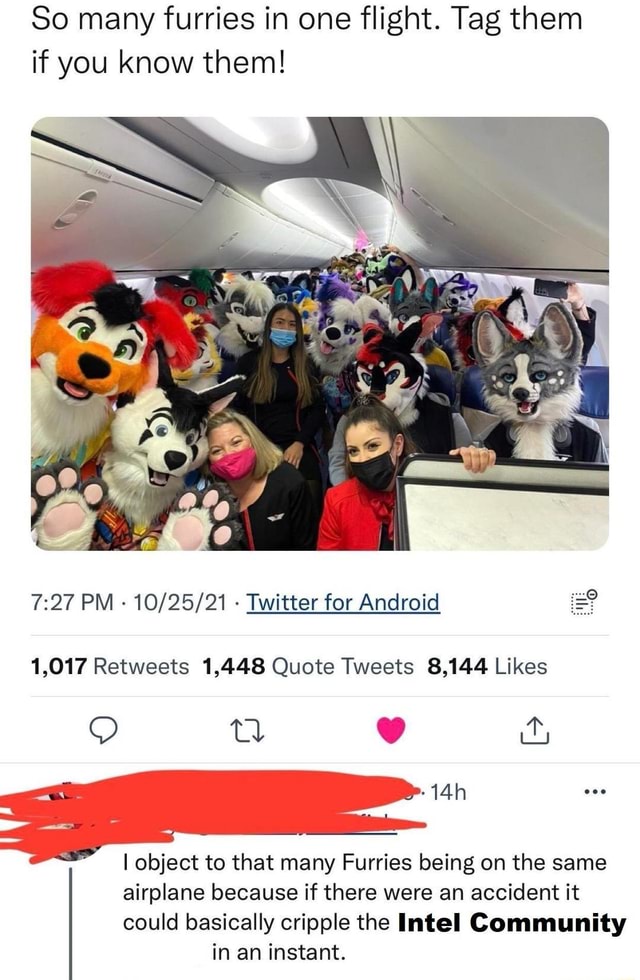 So many furries in one flight. Tag them if you know them! PM ...