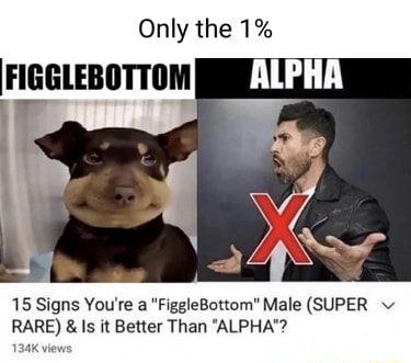Only the 1% FIGGLEBOTTOM 15 Signs You're a "FiggleBottom" Male (SUPER ...