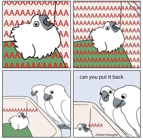 VAAAA, chicken thought - iFunny