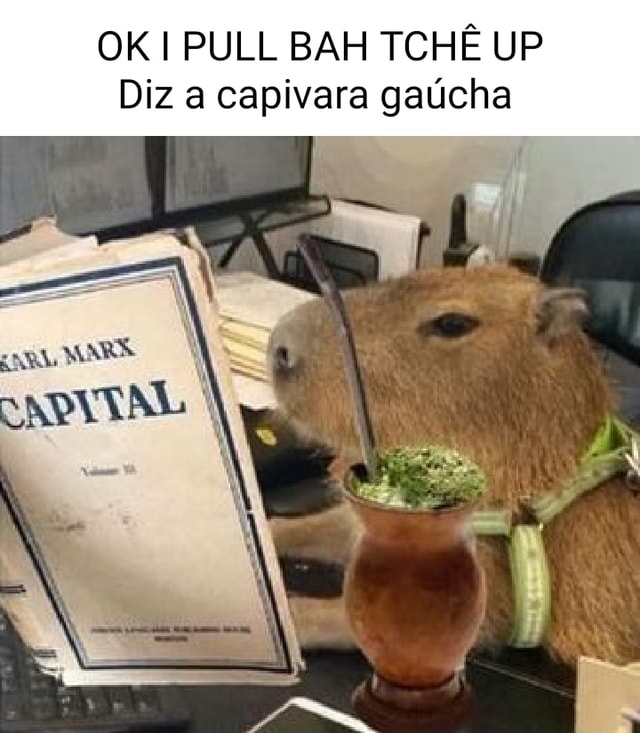 OK PULL BAR TCHÊ UP Diz a capivara gaúcha - iFunny