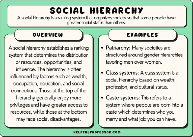 SOCIAL HIERARCHY A social hierarchy is a ranking system that organizes ...
