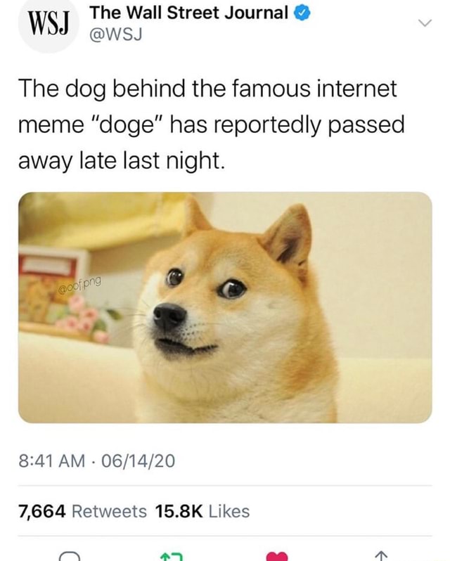 Ews The dog behind the famous internet meme "doge" has reportedly ...