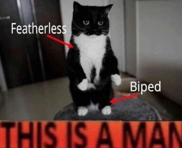 Featherless Biped - iFunny