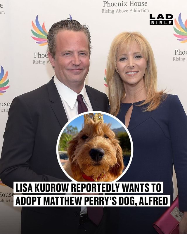 This would be wonderful 🙏 Matthew Perry's FRIENDS co-star Lisa Kudrow ...
