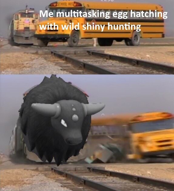 Me multitasking egg hatching with wild shiny hunting - iFunny
